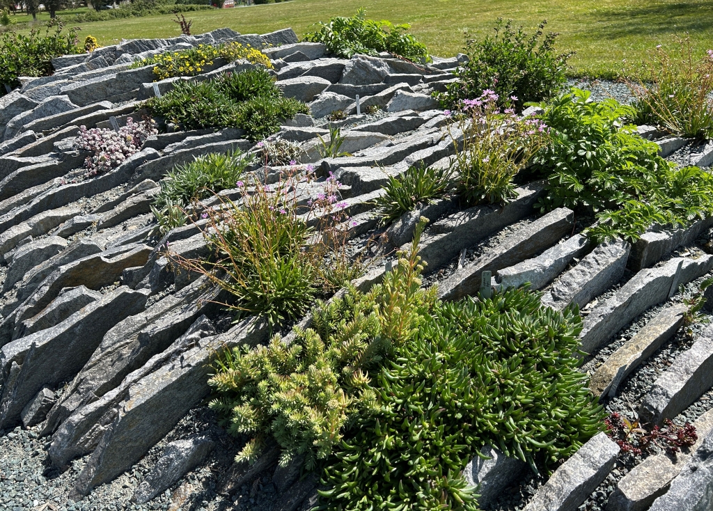 Crevice Garden | Island County | Washington State University