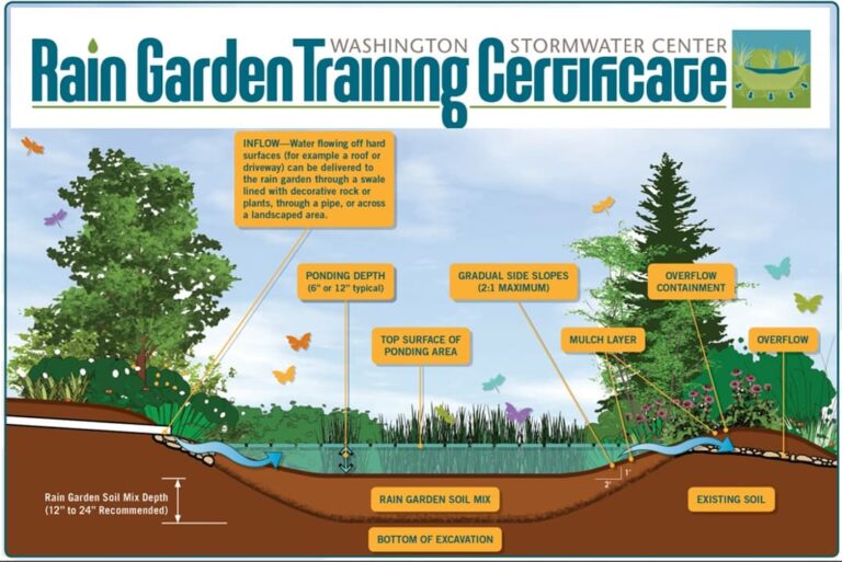 How To Build a Rain Garden | Rain Gardens | Washington State University