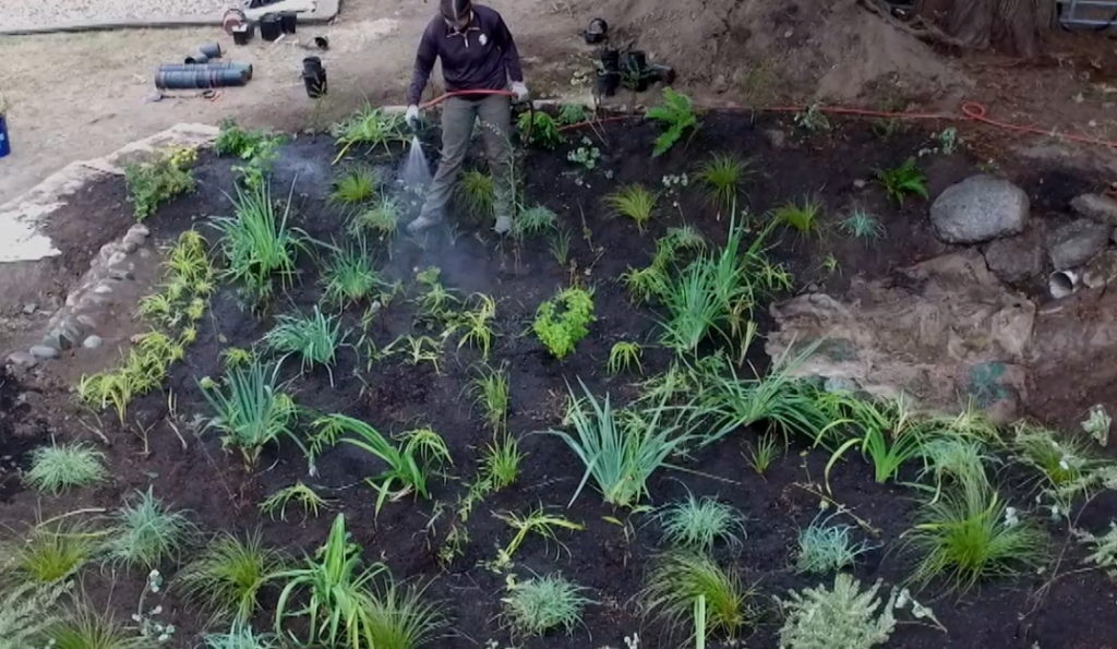 Stormwater Research & Extension | Rain Gardens | Washington State University