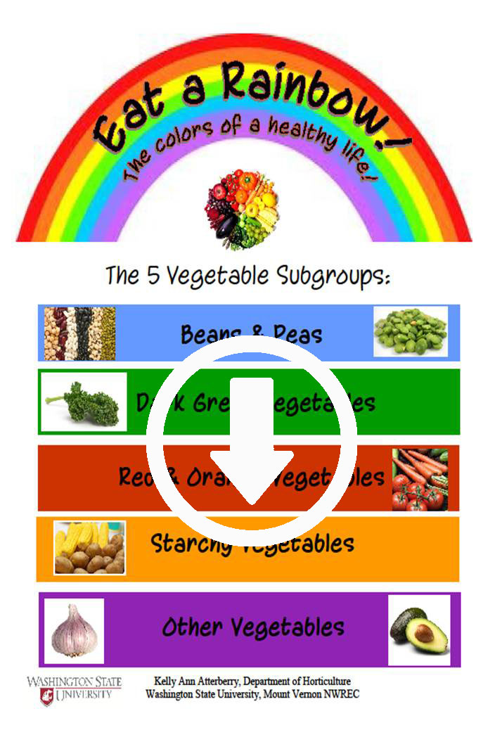 School-Garden Based Education | Vegetable Research and Extension ...