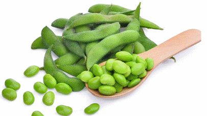 Edamame | Vegetable Research and Extension | Washington State University