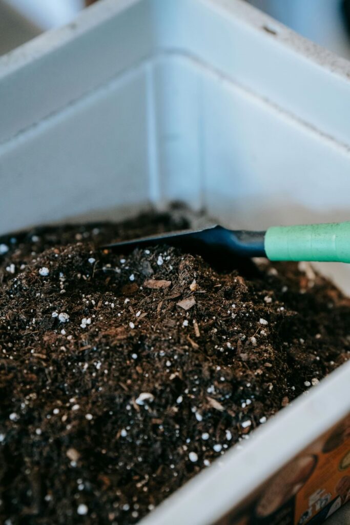 Youth Garden and Nature Education | King County | Washington State ...