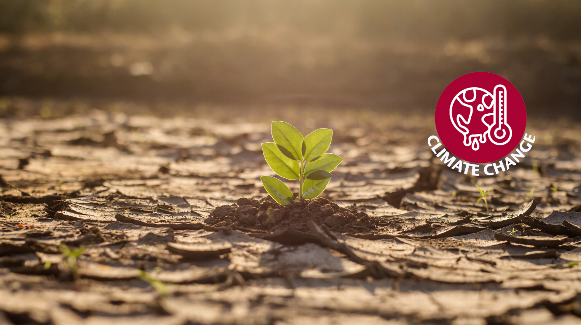 Climate change tips | Master Gardener Program | Washington State University