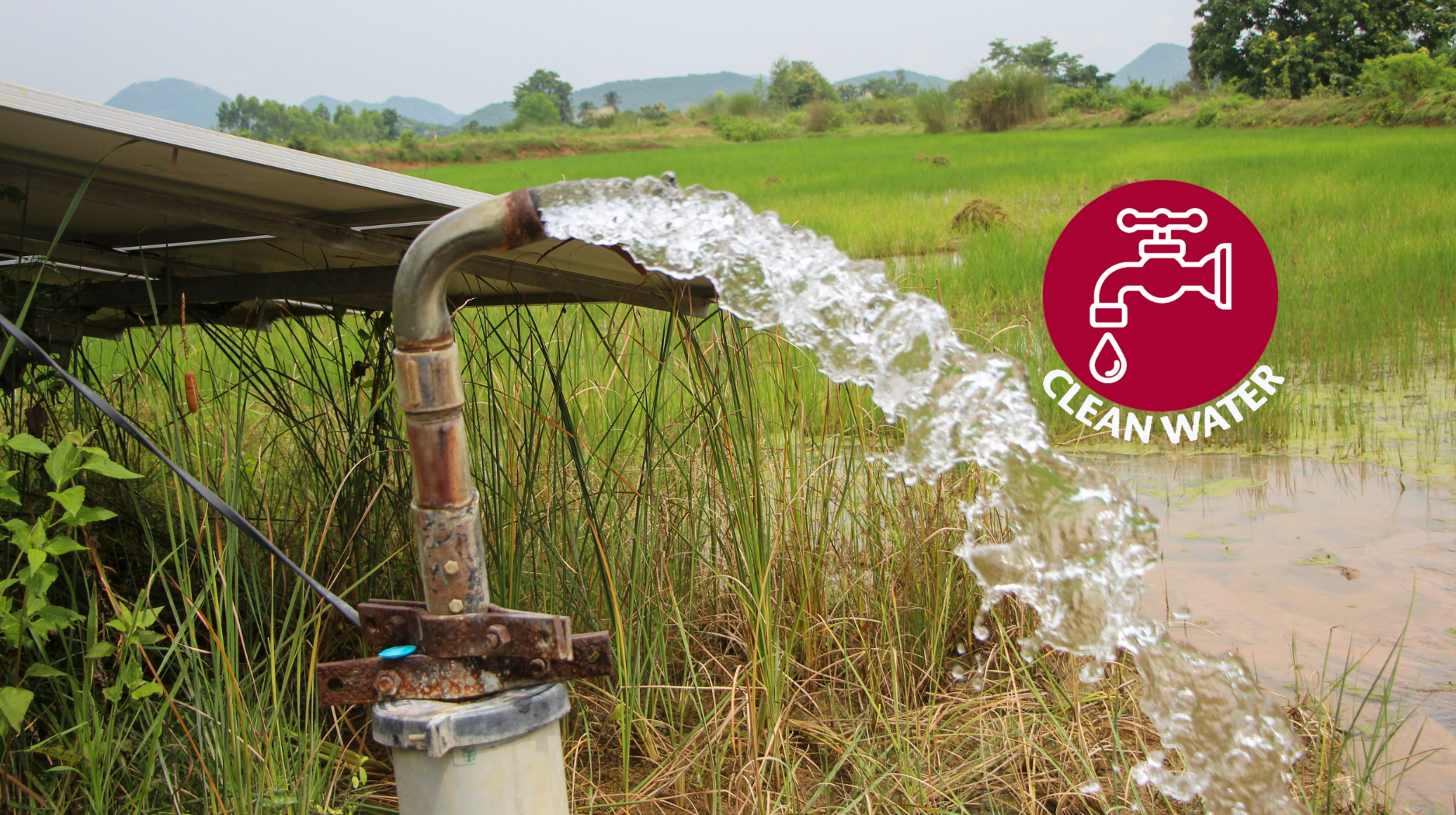 2024 Clean Water Impact | Master Gardener Program | Washington State ...