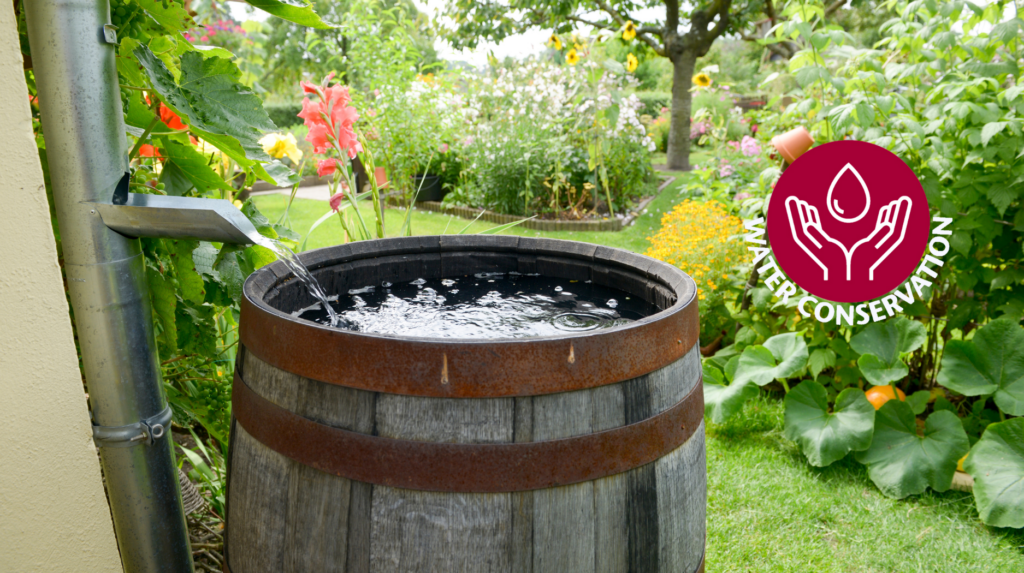 2024 Water Conservation Impact | Master Gardener Program | Washington ...