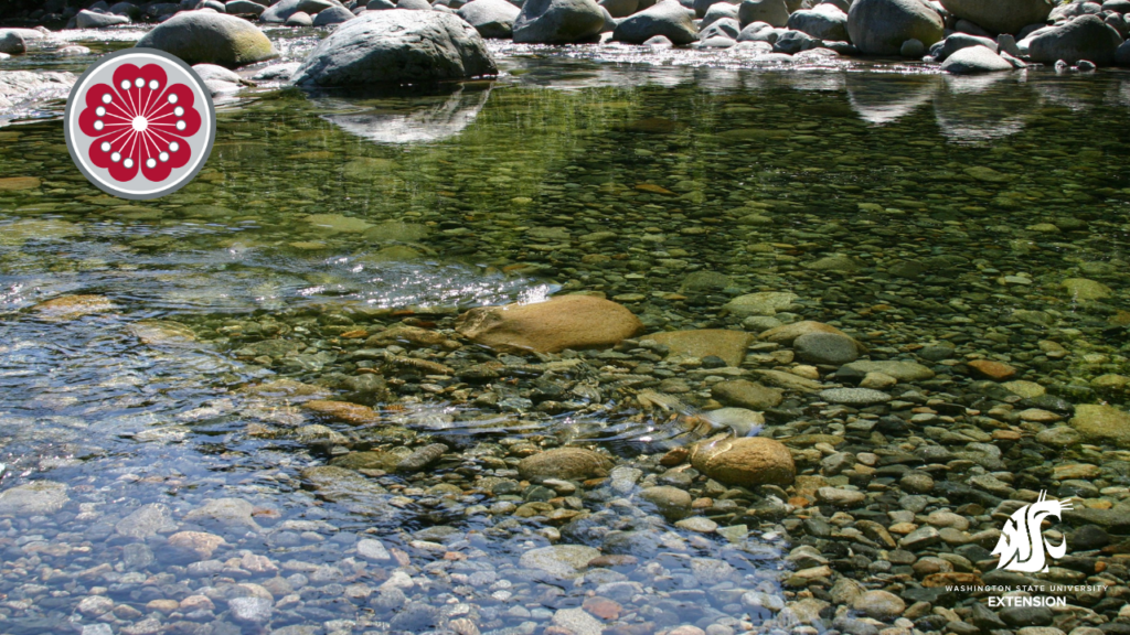 Clean water tips | Master Gardener Program | Washington State University