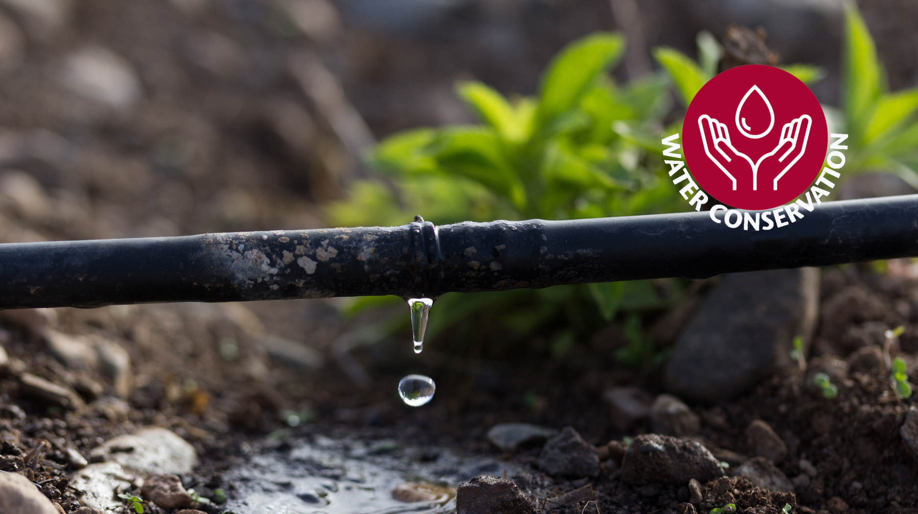 Water conservation library | Master Gardener Program | Washington State ...