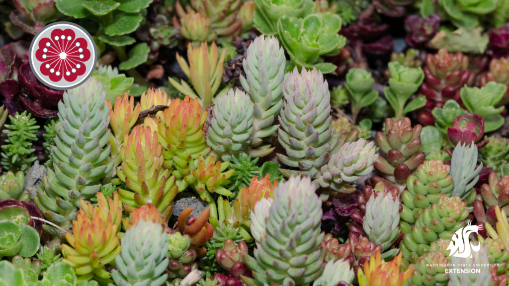 Water conservation library | Master Gardener Program | Washington State ...