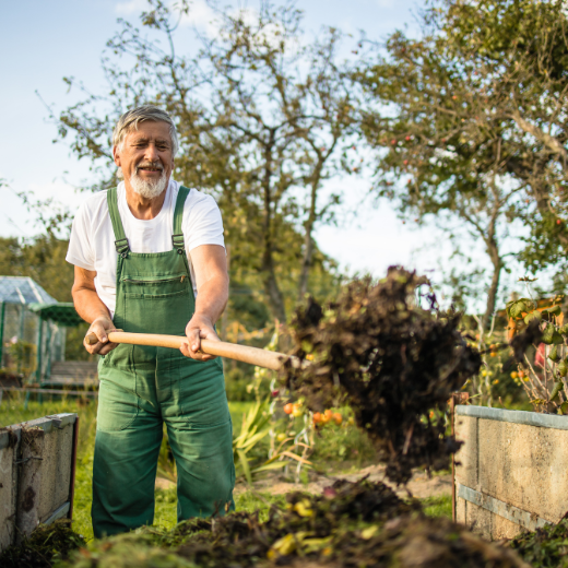 Organic gardening | Master Gardener Program | Washington State University