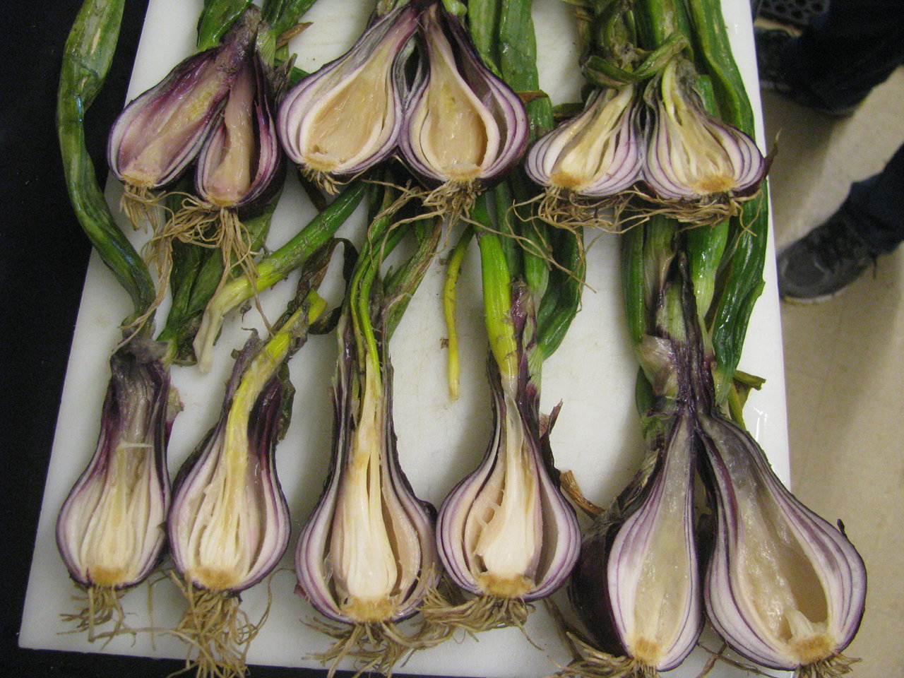 Onion bacterial soft rot | Pacific Northwest Vegetable Extension Group ...