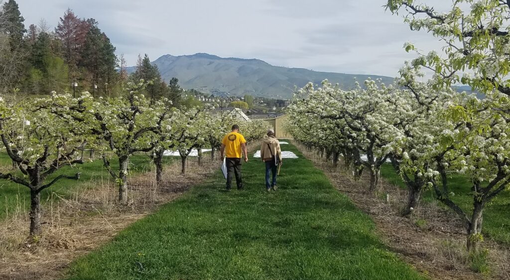 People | Horticulture Crops Entomology | Washington State University