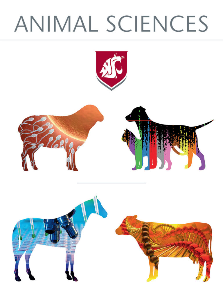 Livestock/Animal Science | Grant County | Washington State University