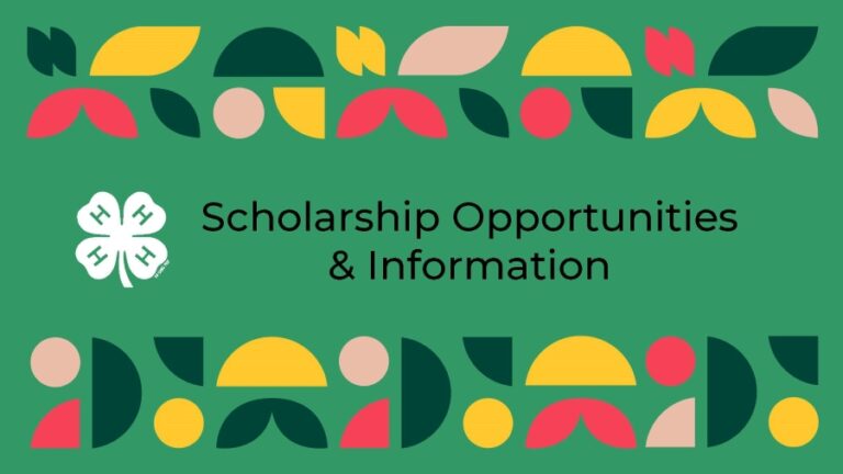 4-H Youth Development | Grant County | Washington State University