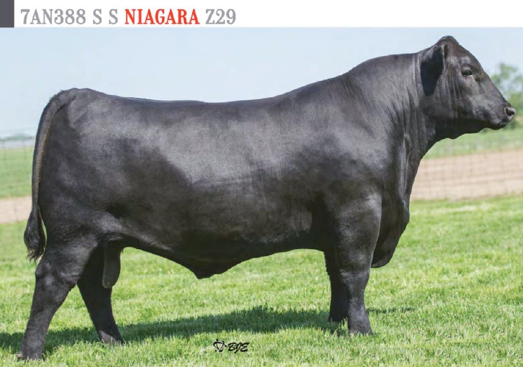 [Archived]: Understanding and Using EPDs | Whatcom Ag Monthly ...