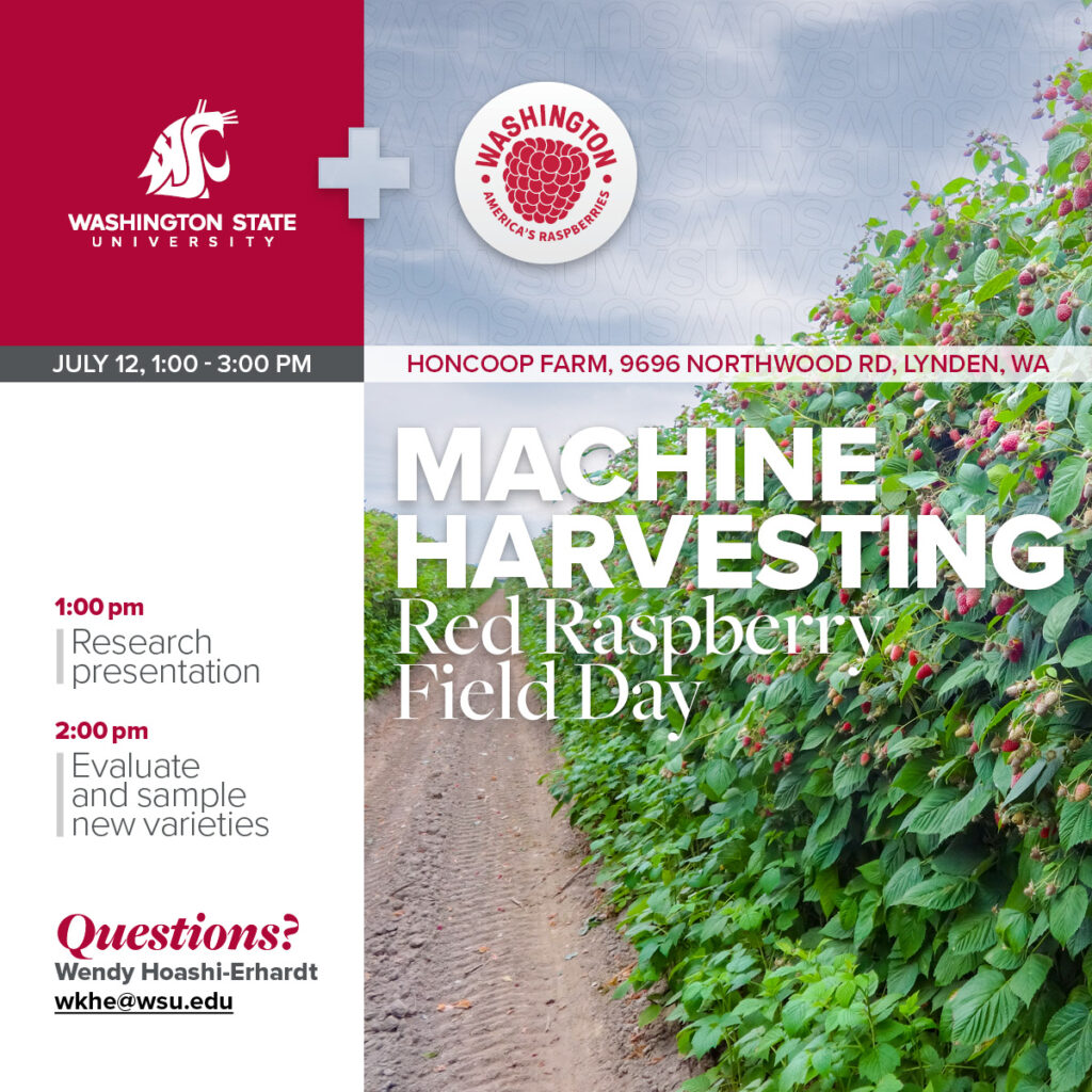 2022 Berry Field Day Events | Whatcom Ag Monthly | Washington State ...