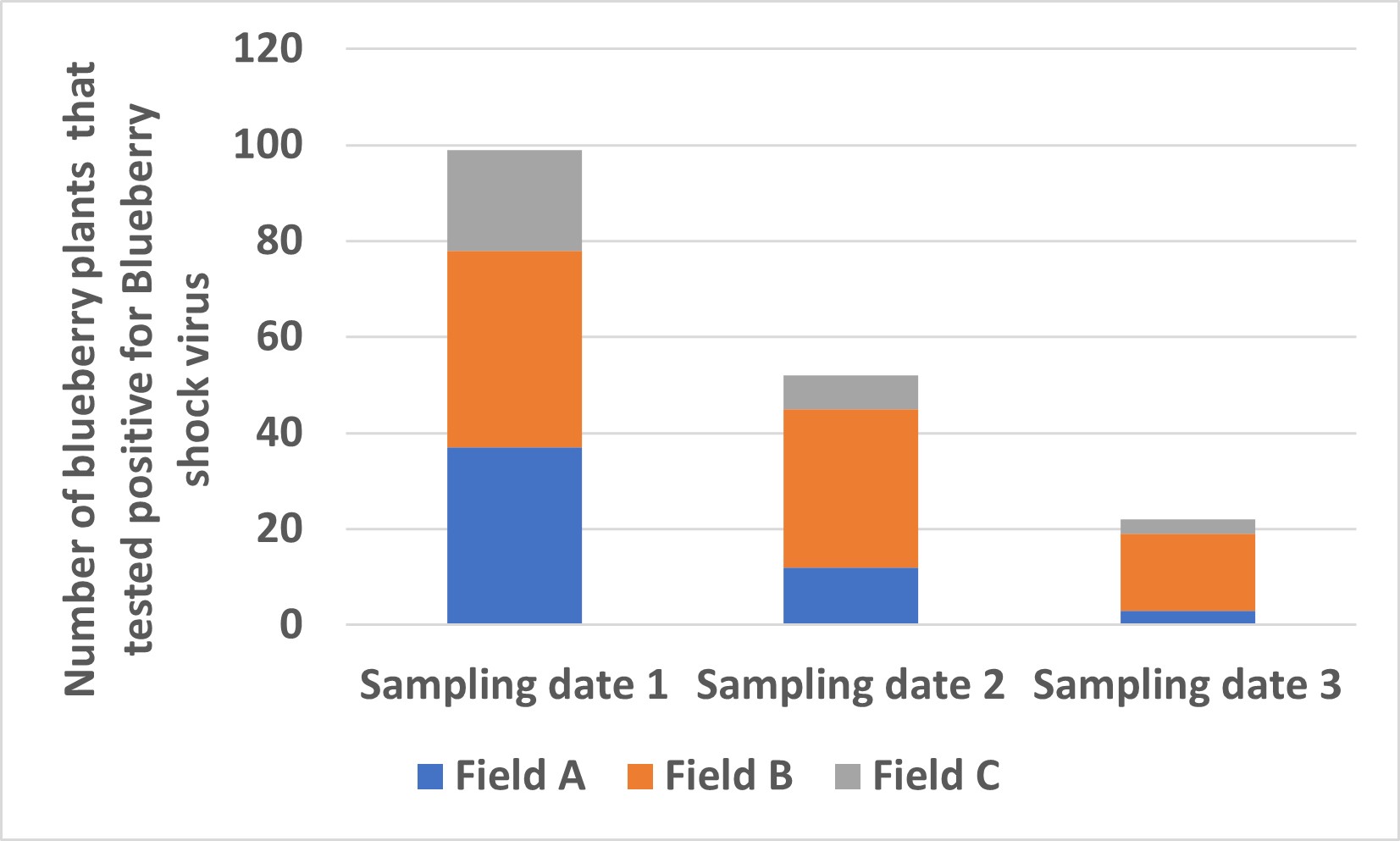 Aerial imaging to monitor blueberry shock disease | Whatcom Ag Monthly ...