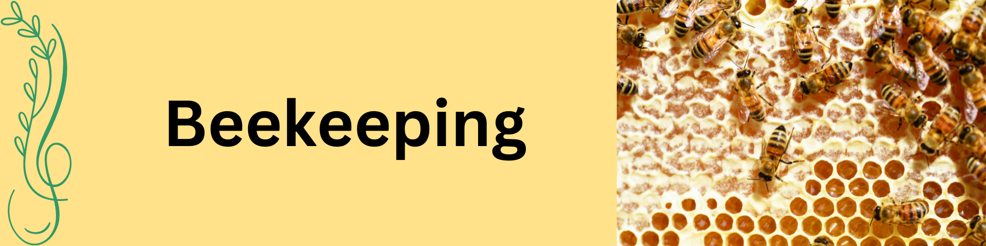 4-H Beekeeping Project | Yakima County | Washington State University