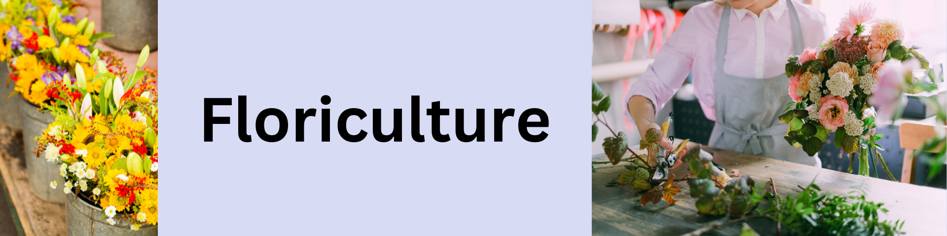 4-H Floriculture Project | Yakima County | Washington State University