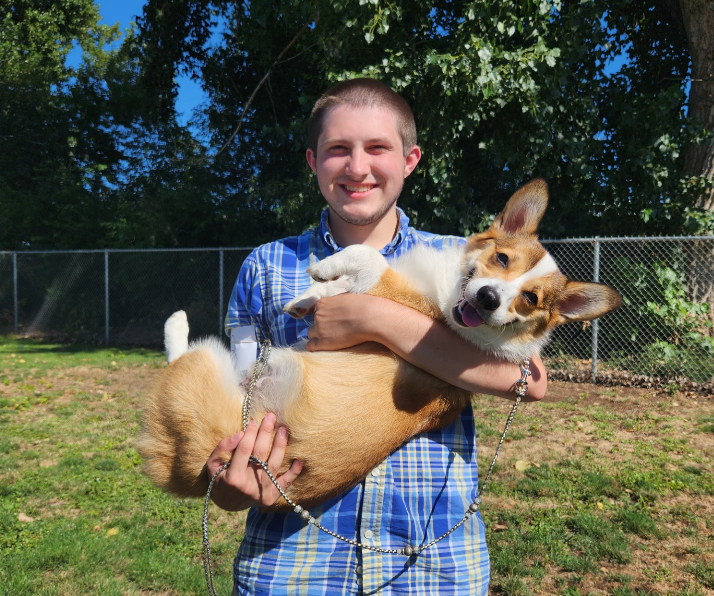 4-H Dog Project | Yakima County | Washington State University