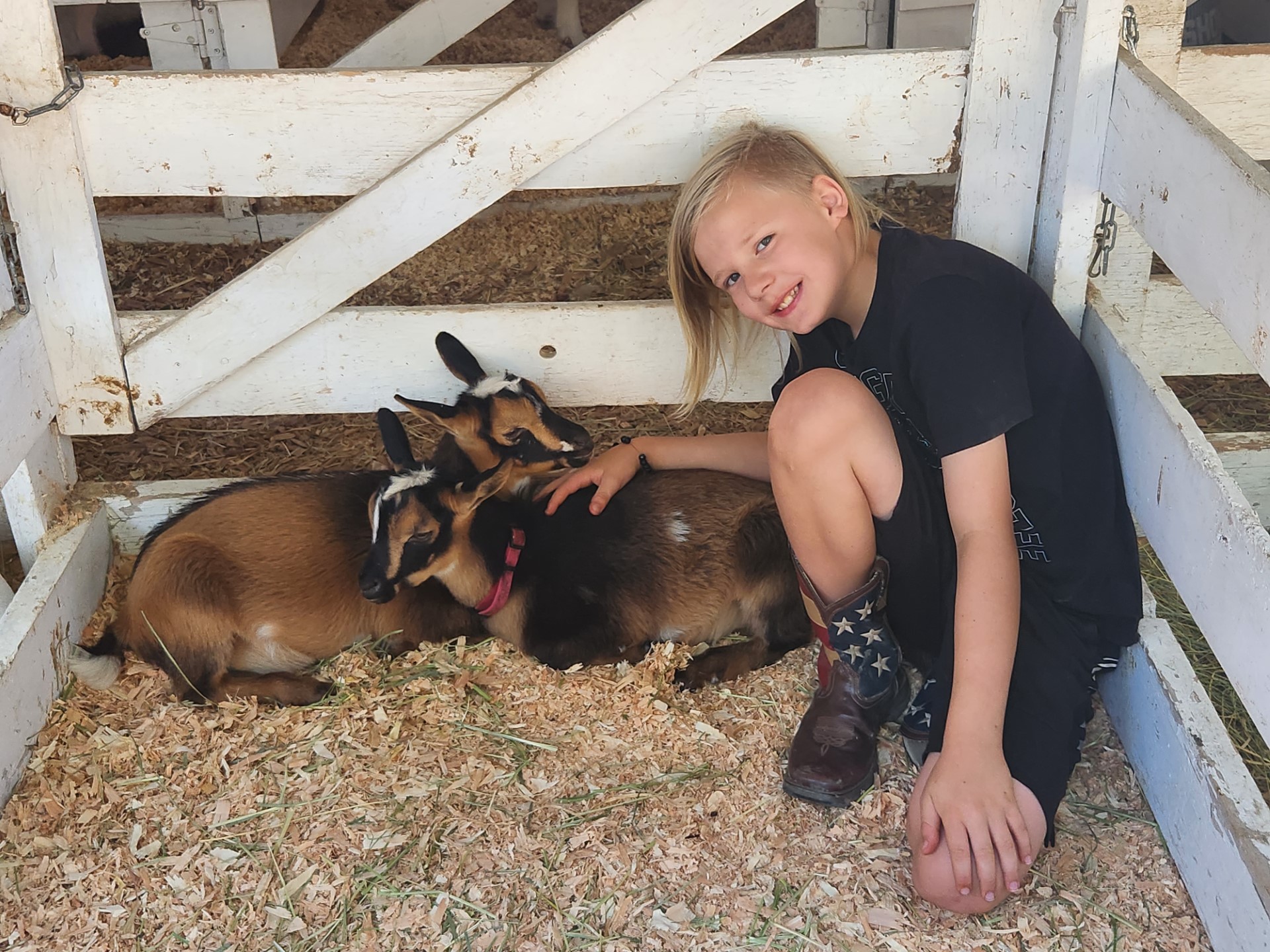 4-H Goat Project | Yakima County | Washington State University