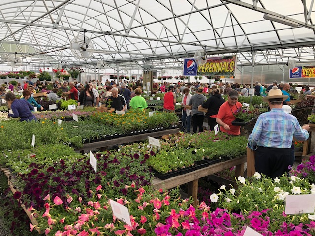 Plant Sale | Yakima County | Washington State University