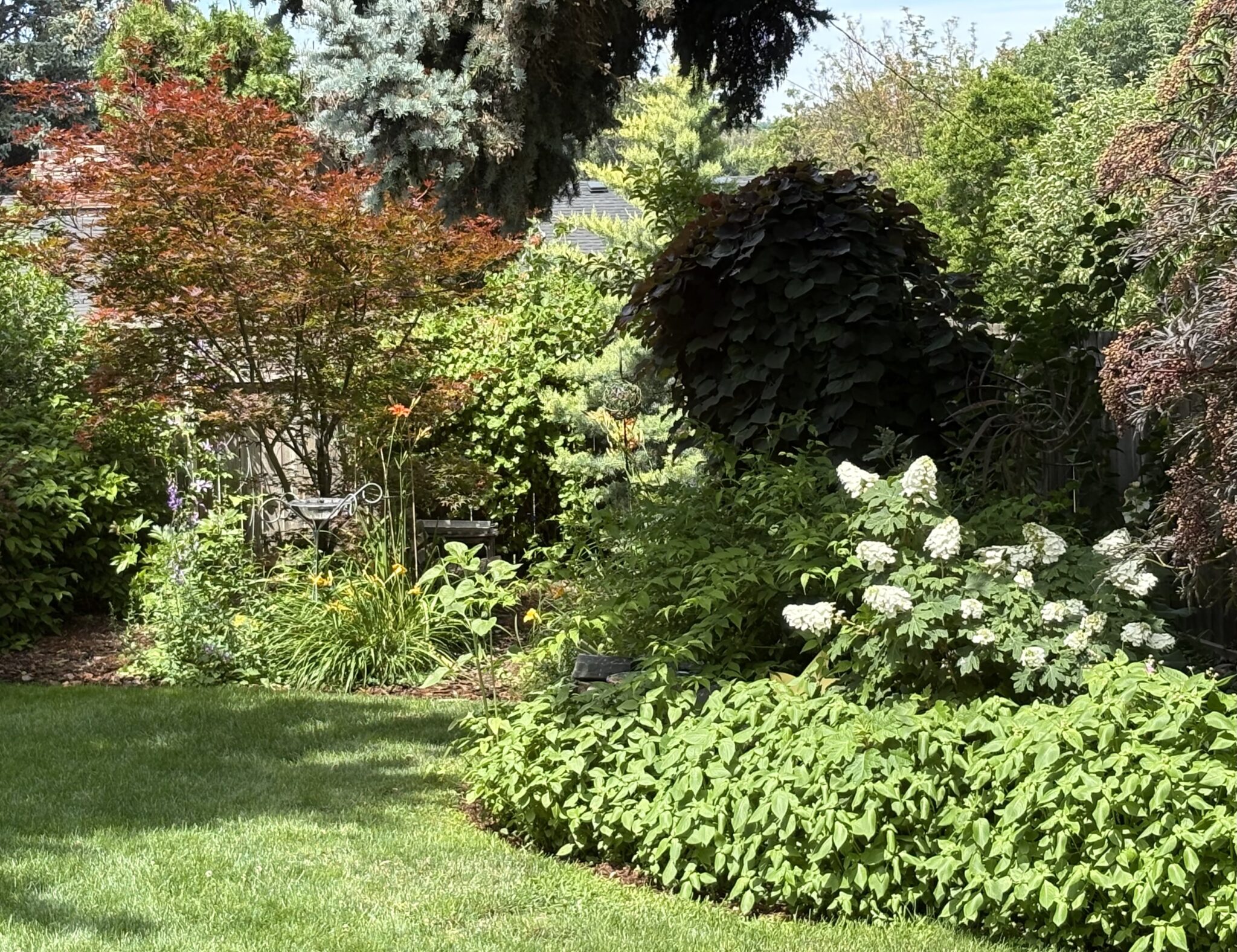 Interview with Laura Willett | Yakima County | Washington State University