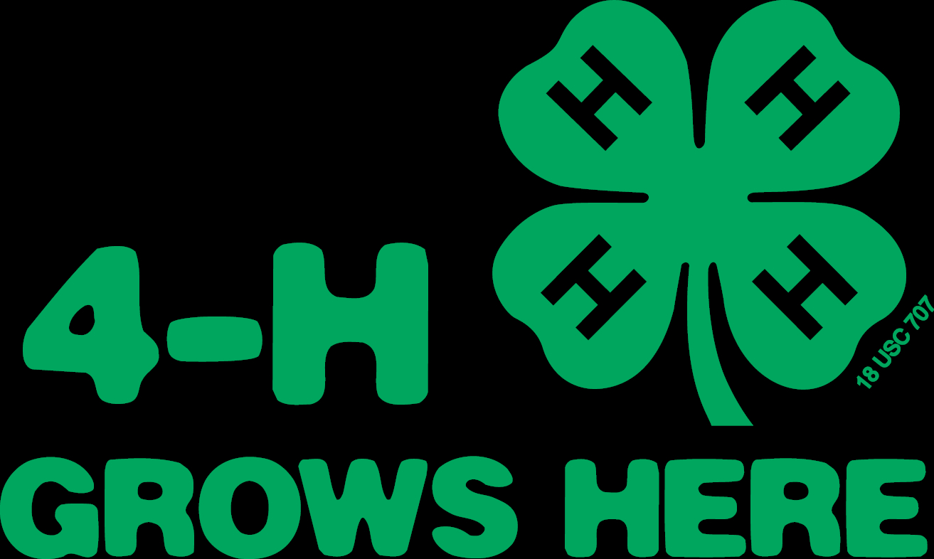 4-H Beef Project | Kittitas County | Washington State University