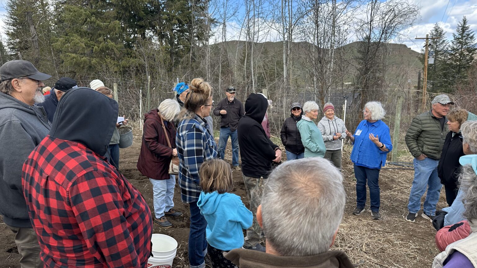 Write up on Master Gardener Suellen Whites Raspberry Pruning Workshop ...