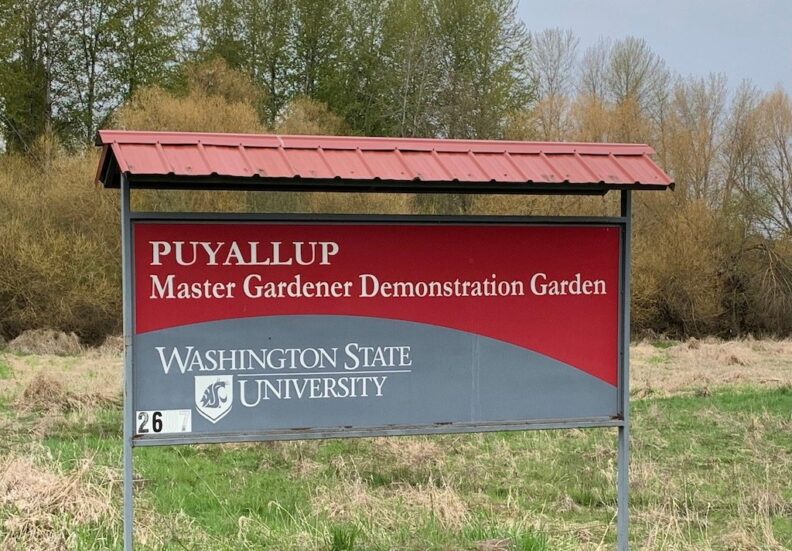 Demonstration Gardens | Pierce County | Washington State University