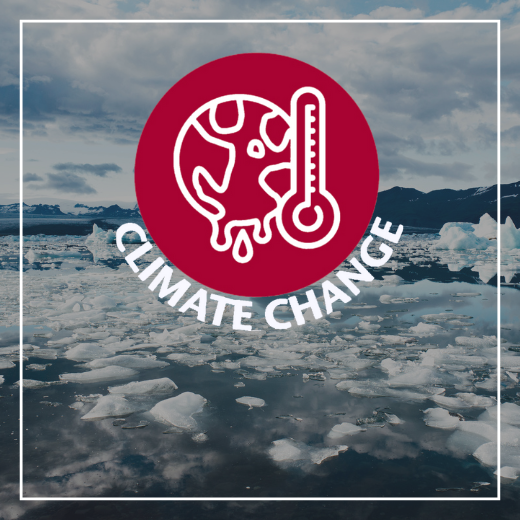 Continuing Education | Pierce County | Washington State University