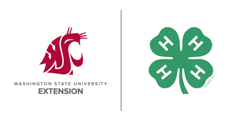 Life Skills and Team Building Games | Pierce County | Washington State ...