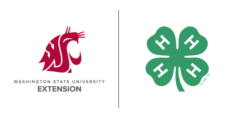 Sphero Bolt | Pierce County | Washington State University