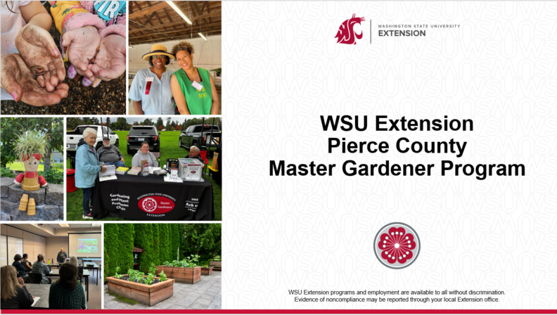 Marketing & Communications | Pierce County | Washington State University
