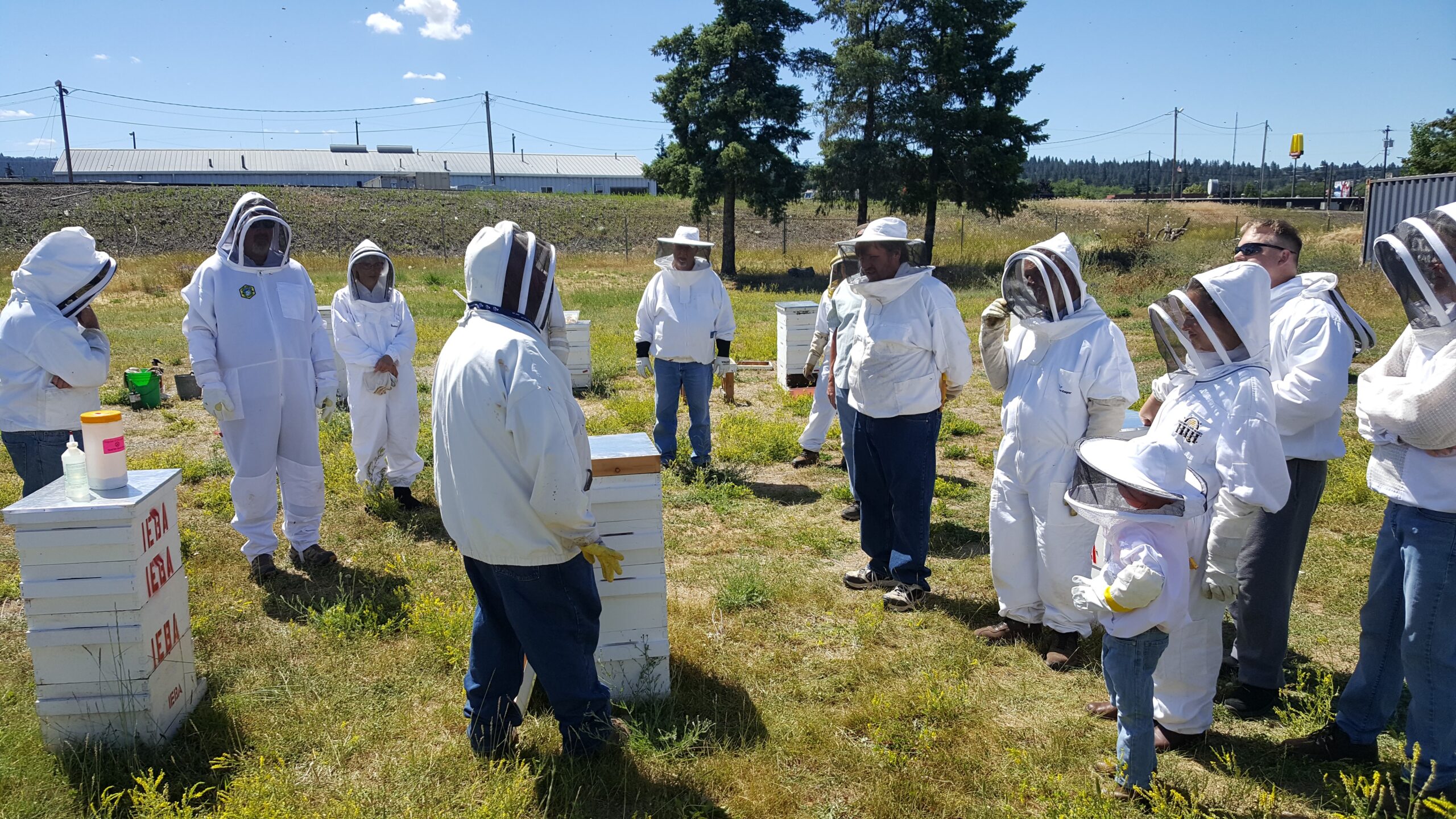 bee suits | Spokane County | Washington State University