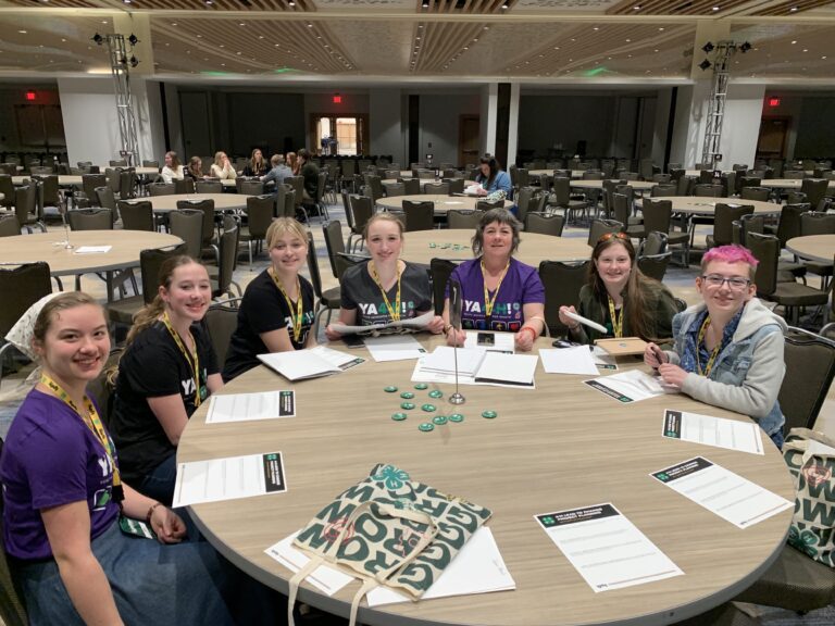 Washington State 4-H Teens Awarded National 4-H ‘Lead to Change’ Mini ...