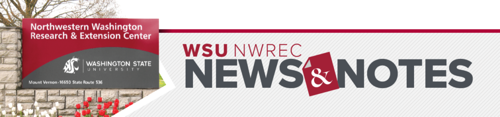 Fall 2024 Newsletter | Mount Vernon NWREC | Washington State University