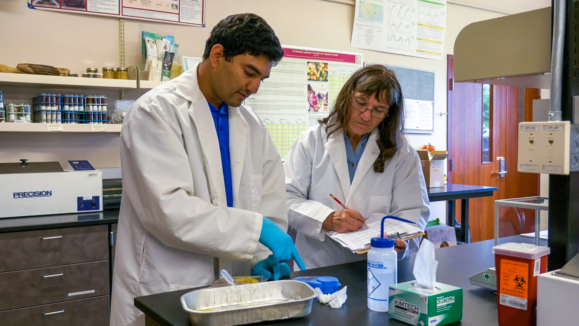 Research | Mount Vernon NWREC | Washington State University