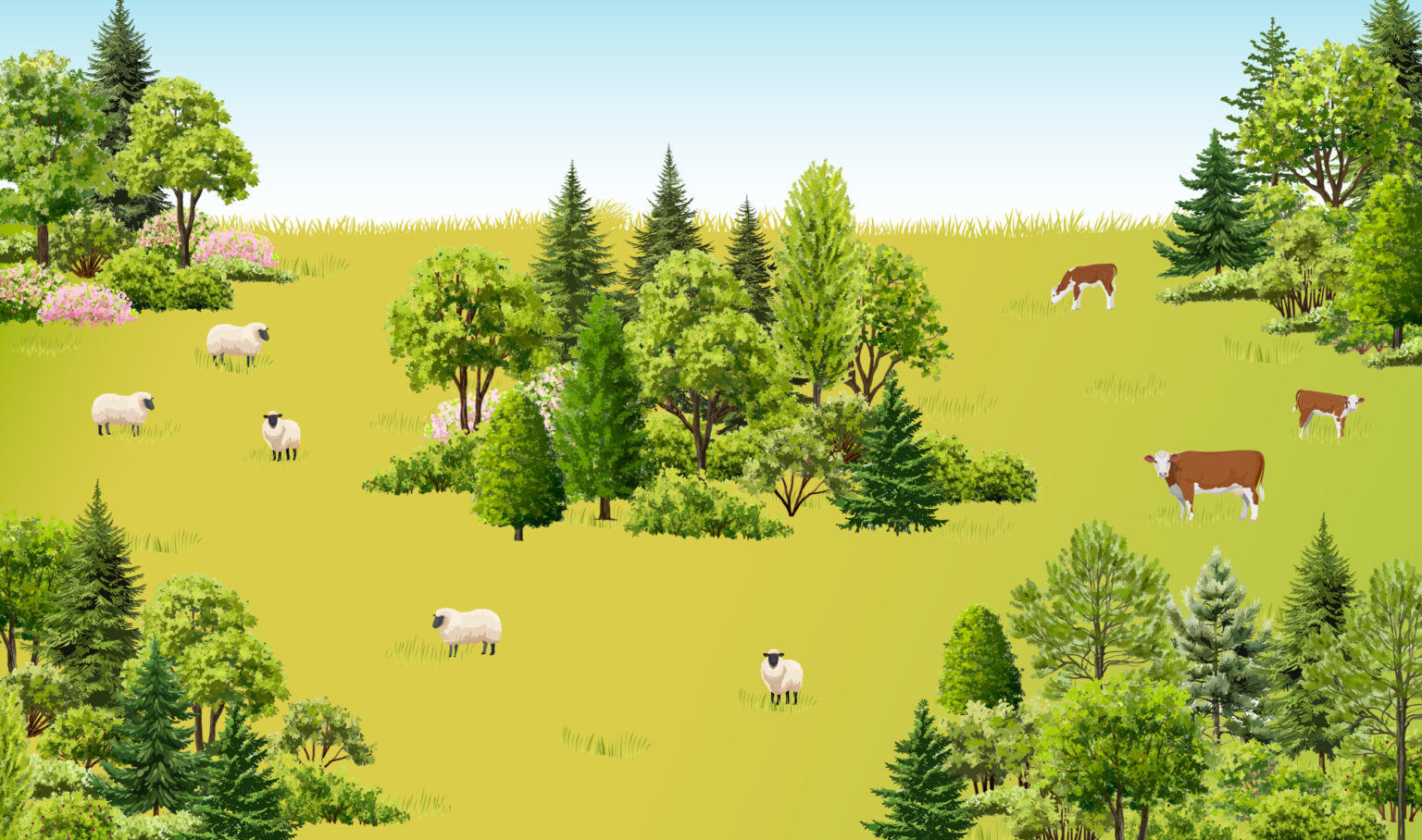 Silvopasture | Working Riparian Lands Program | Washington State University