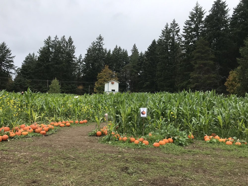 Kitsap Farm Tour | Kitsap County | Washington State University