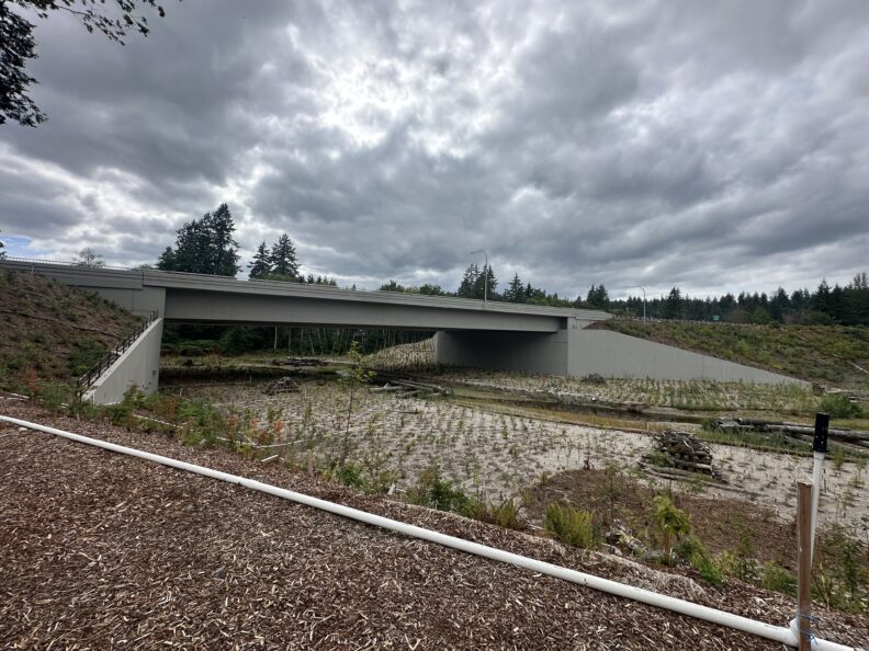 Kitsap Salmon Tours | Kitsap County | Washington State University