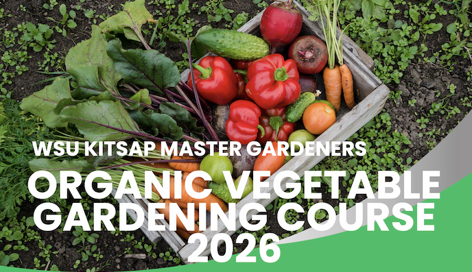 Events for January 6, 2026 | Kitsap County | Washington State University