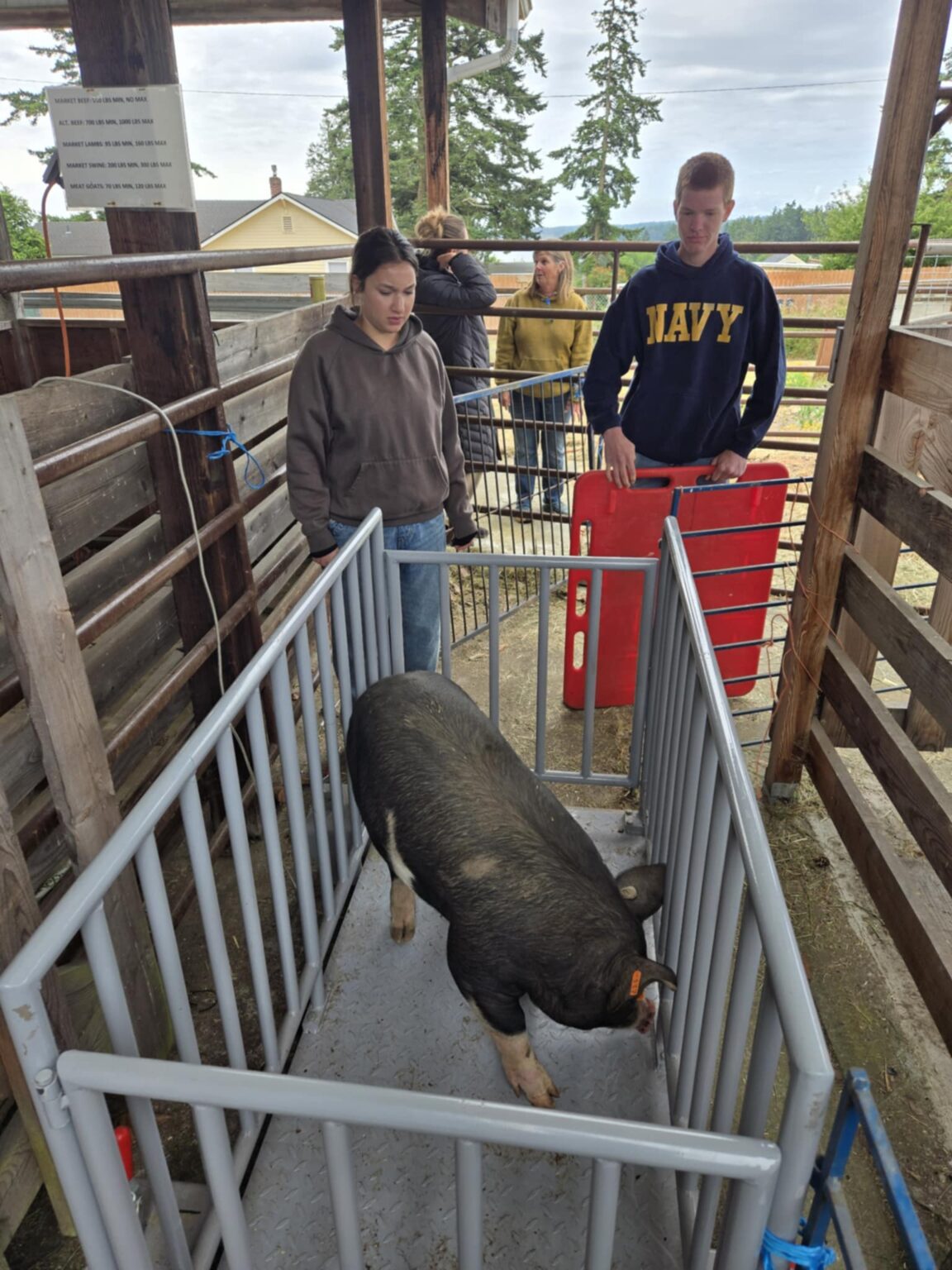 July 2025 4-H Newsletter | San Juan County WSU Extension | Washington ...