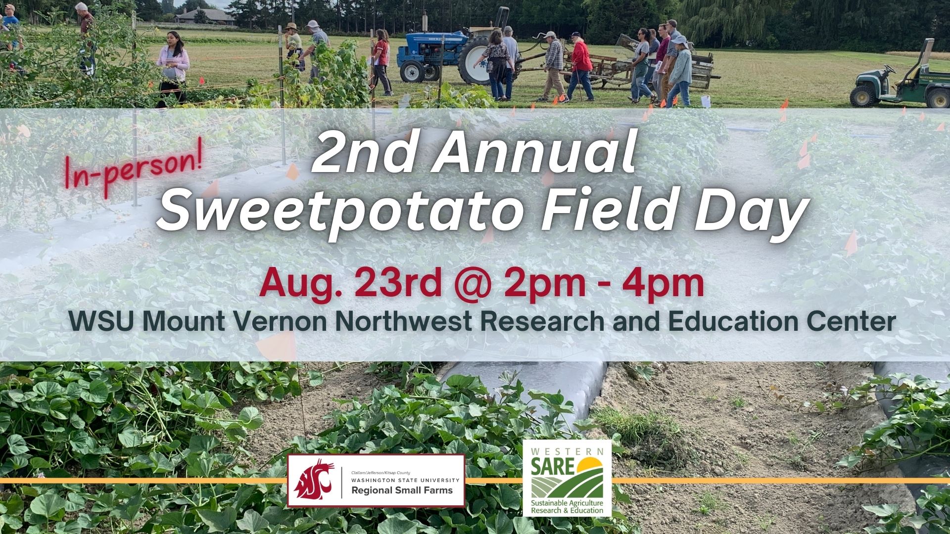 2nd Annual Sweetpotato Field Day | Regional Small Farms | Washington ...