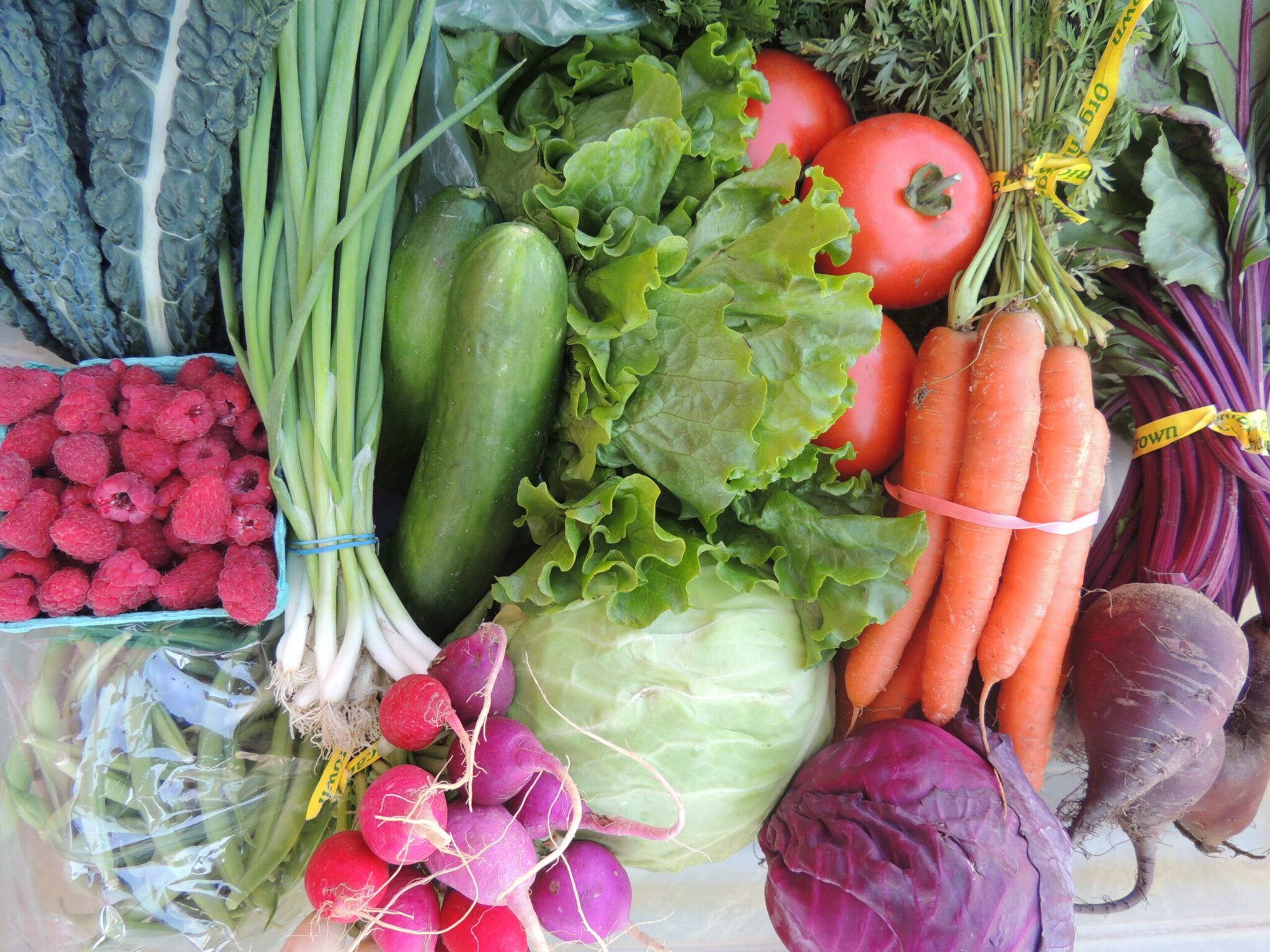 Regional Small Farms | Washington State University