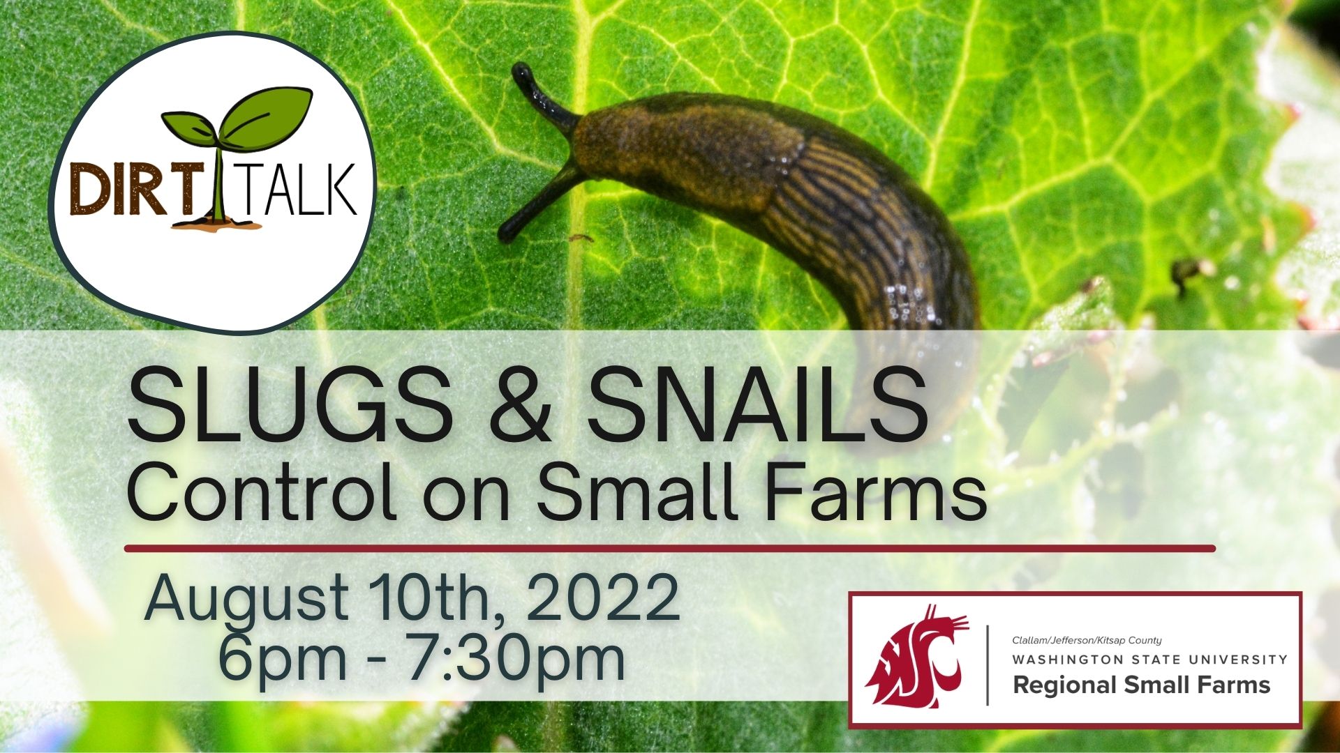Dirt Talk: Slugs & Snails – Control on Small Farms | Regional Small ...