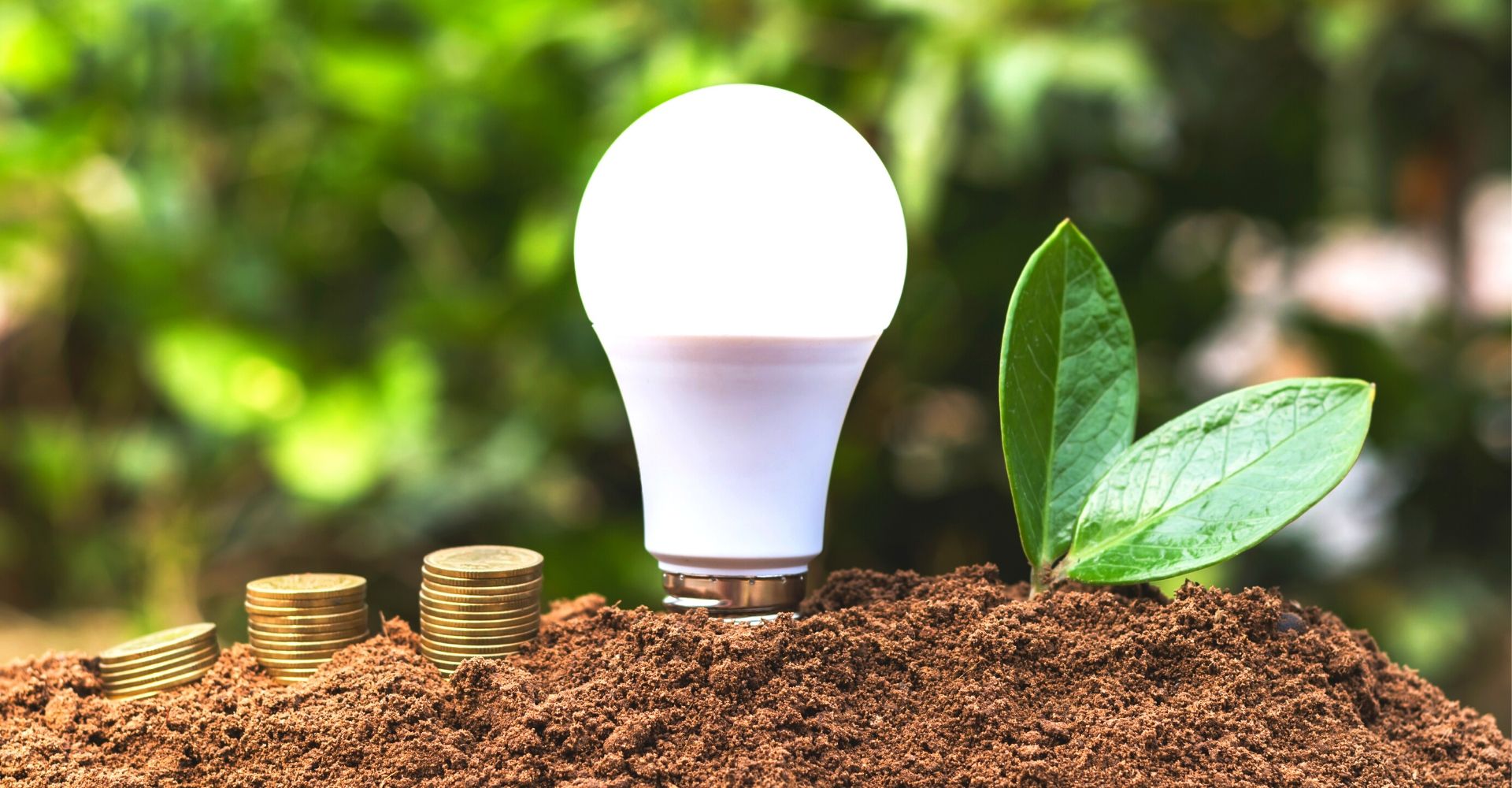 Enterprise Budgets | Regional Small Farms | Washington State University