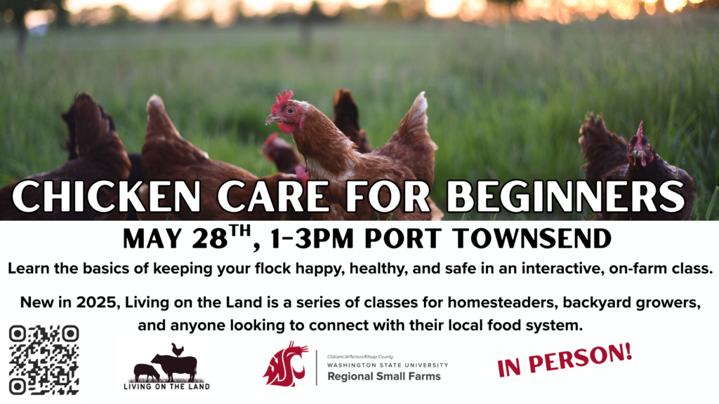 Living on the Land: Chicken Care for Beginners | Regional Small Farms ...