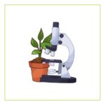 WGS course options | WA Green School | Washington State University