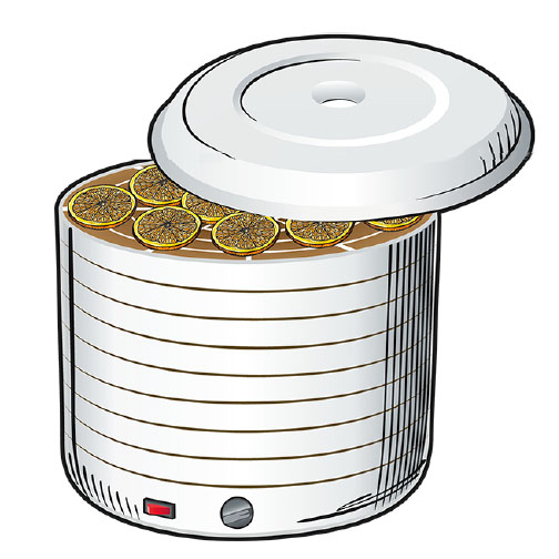 Skagit Food Preservation: Tomatillos | Skagit County | Washington State ...