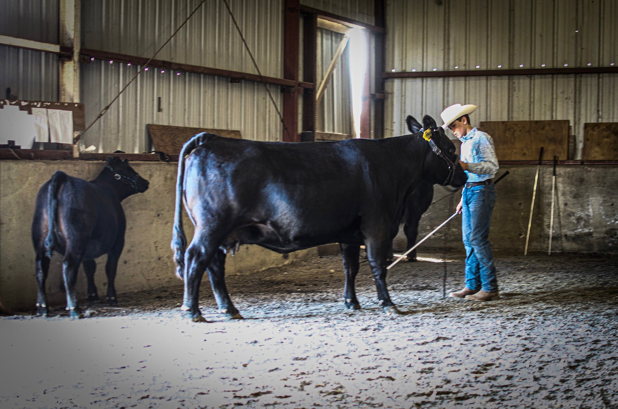 4-H Youth Development | Jefferson County | Washington State University